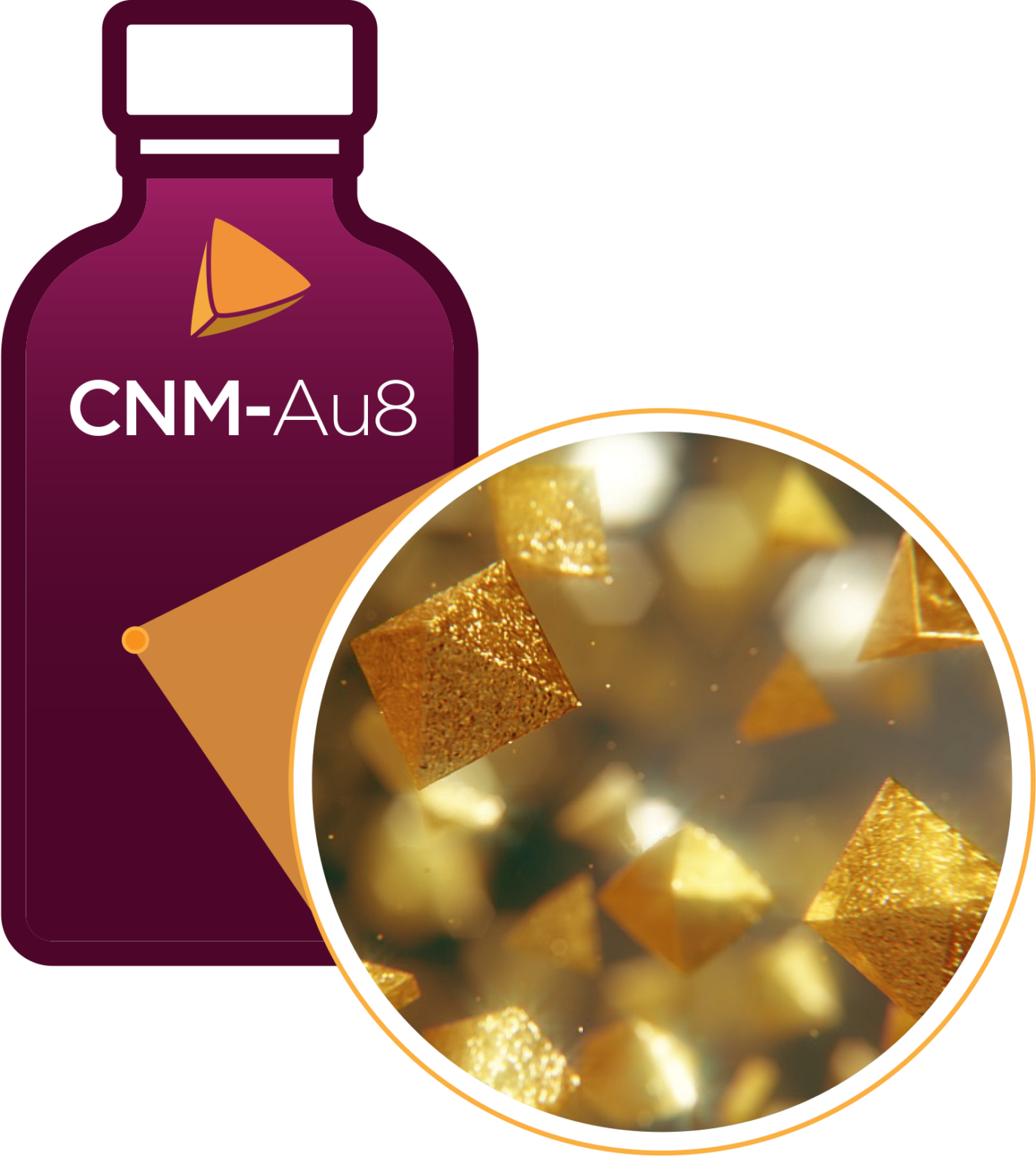 ALS Expanded Access Protocols (EAP)